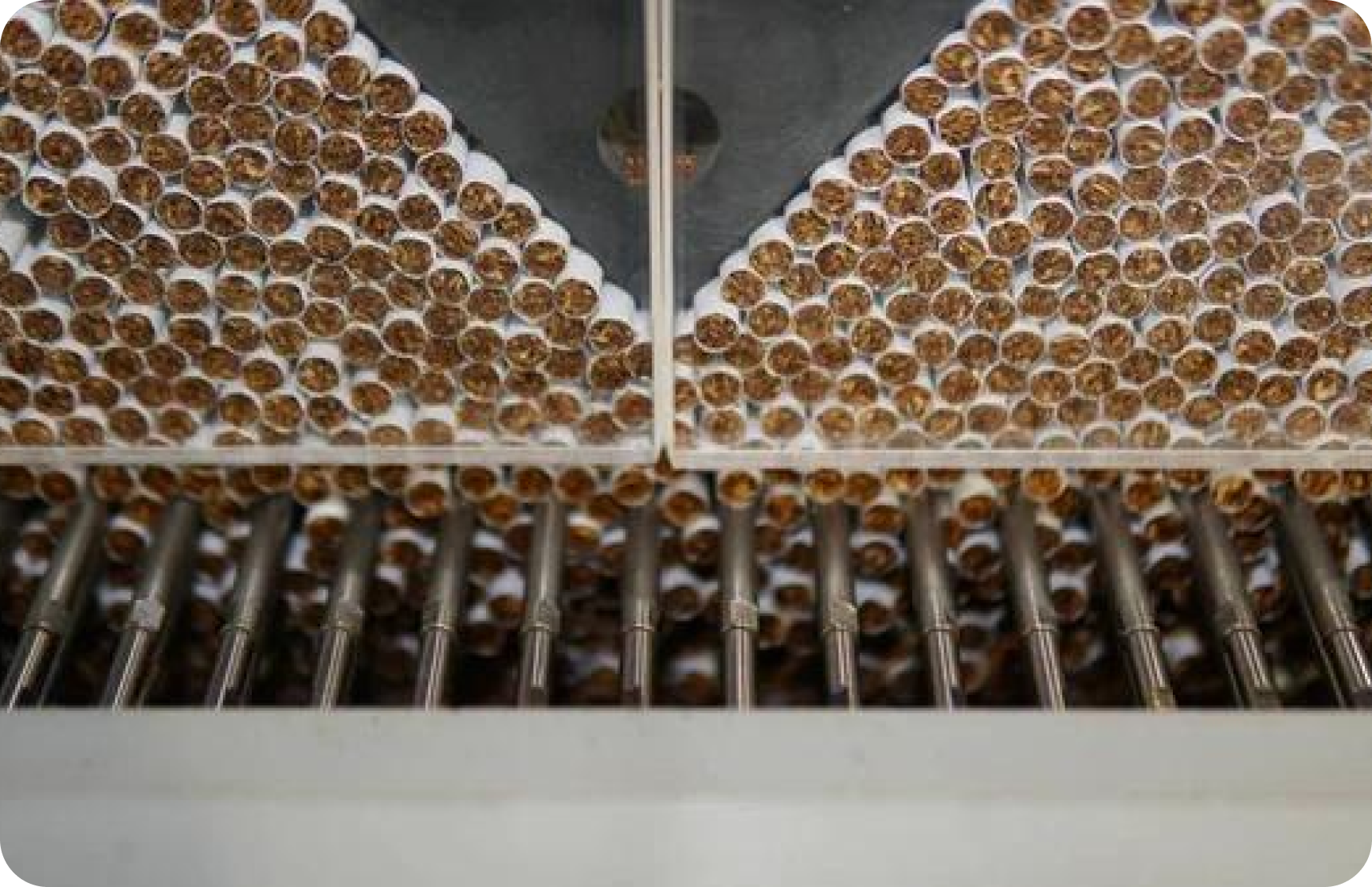 Inicio | Taspa Tabacalera